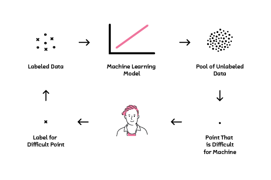 The active learning cycle.